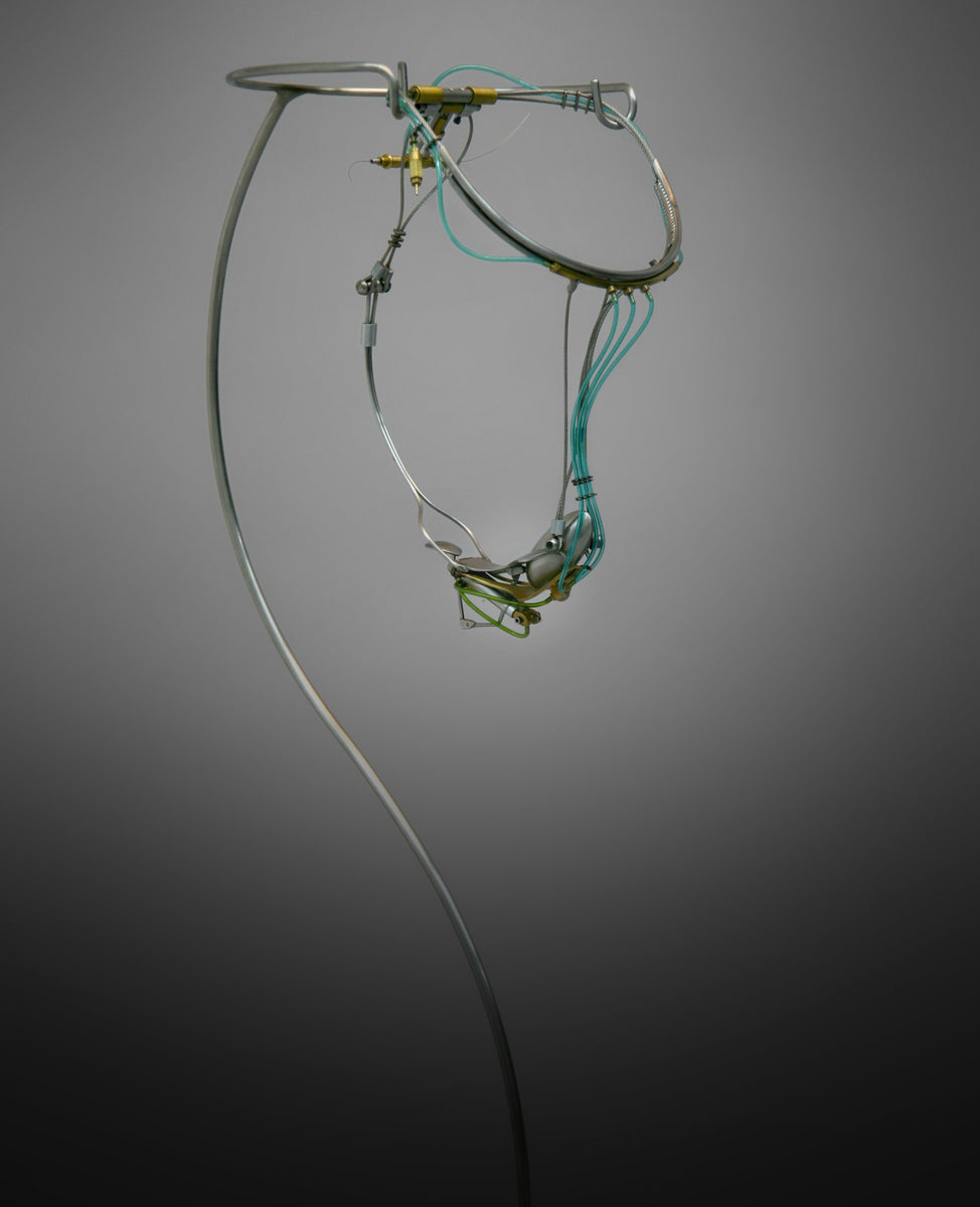 Wrath of Persephone (Pneumatic Anti-Rape Device) – Bitfactory Gallery